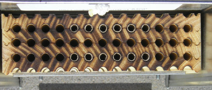 New Products From Pollinator Paradise